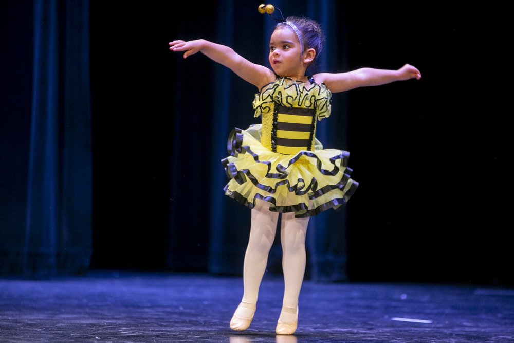 Gallery — Grace Ballet