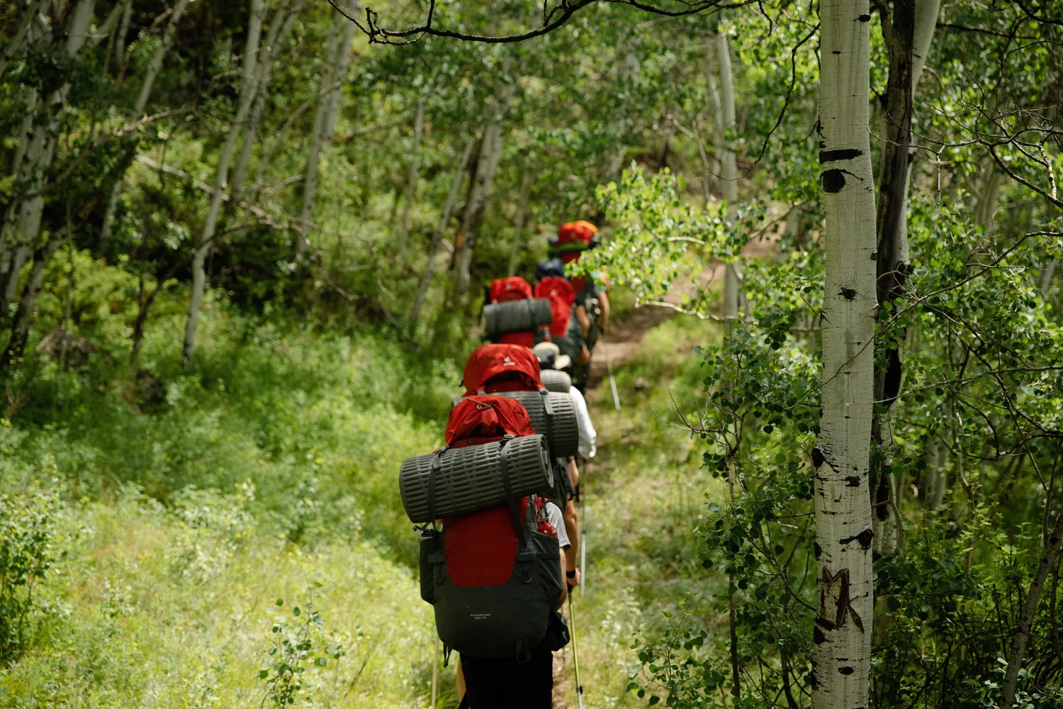 High School Trips — COR Expeditions