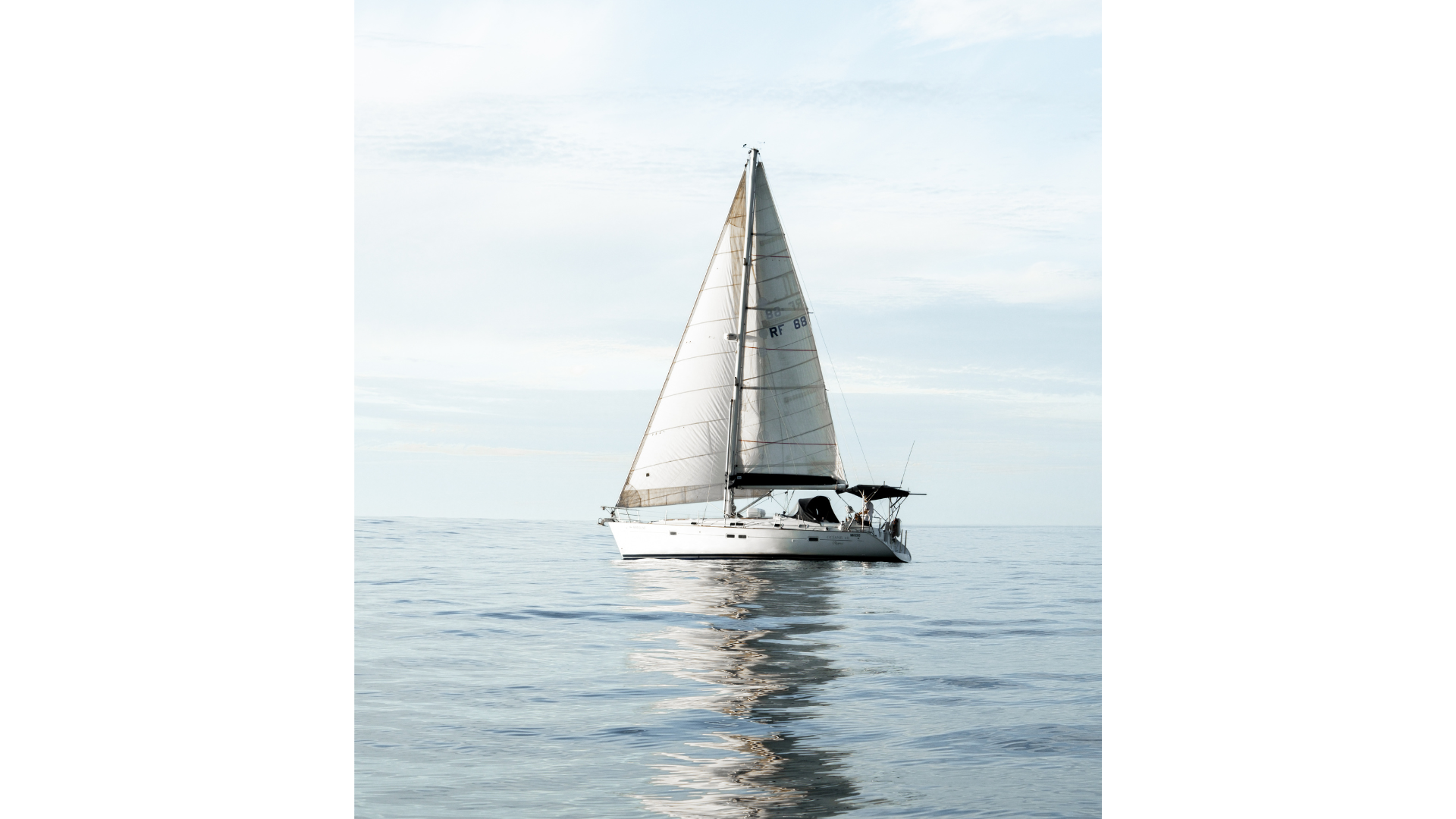 Sea Collective | Ocean Conservation and Sustainable Fisheries