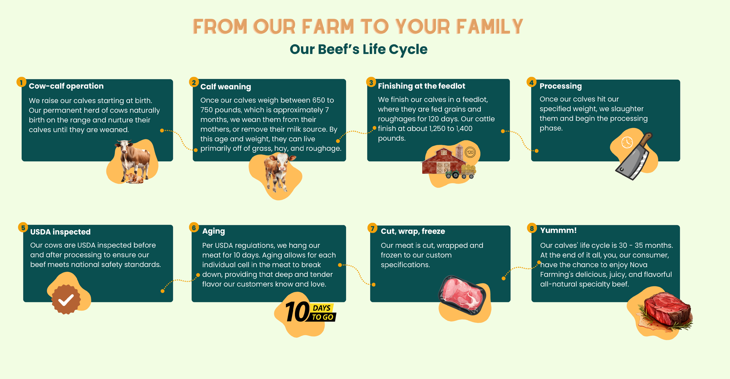 Buy Specialty Beef — Nova Farming