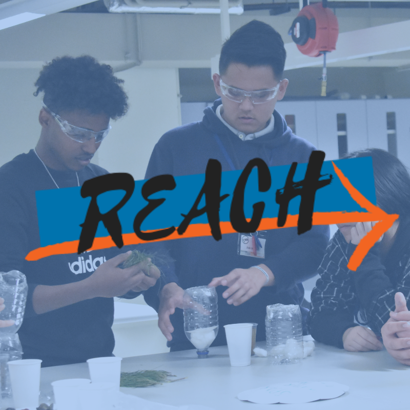 Programs — Youth Without Borders