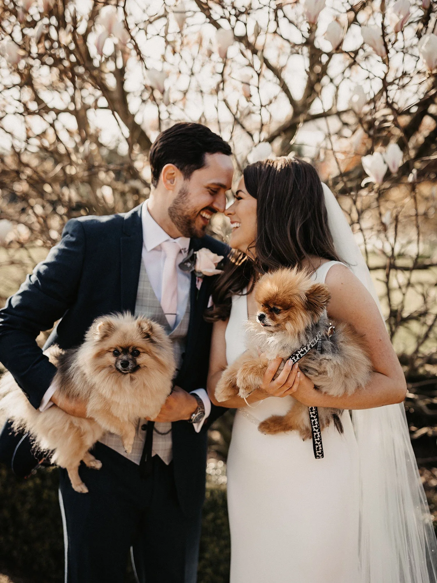 Dogs at Weddings: Tips & Ideas — The Old Kent Barn
