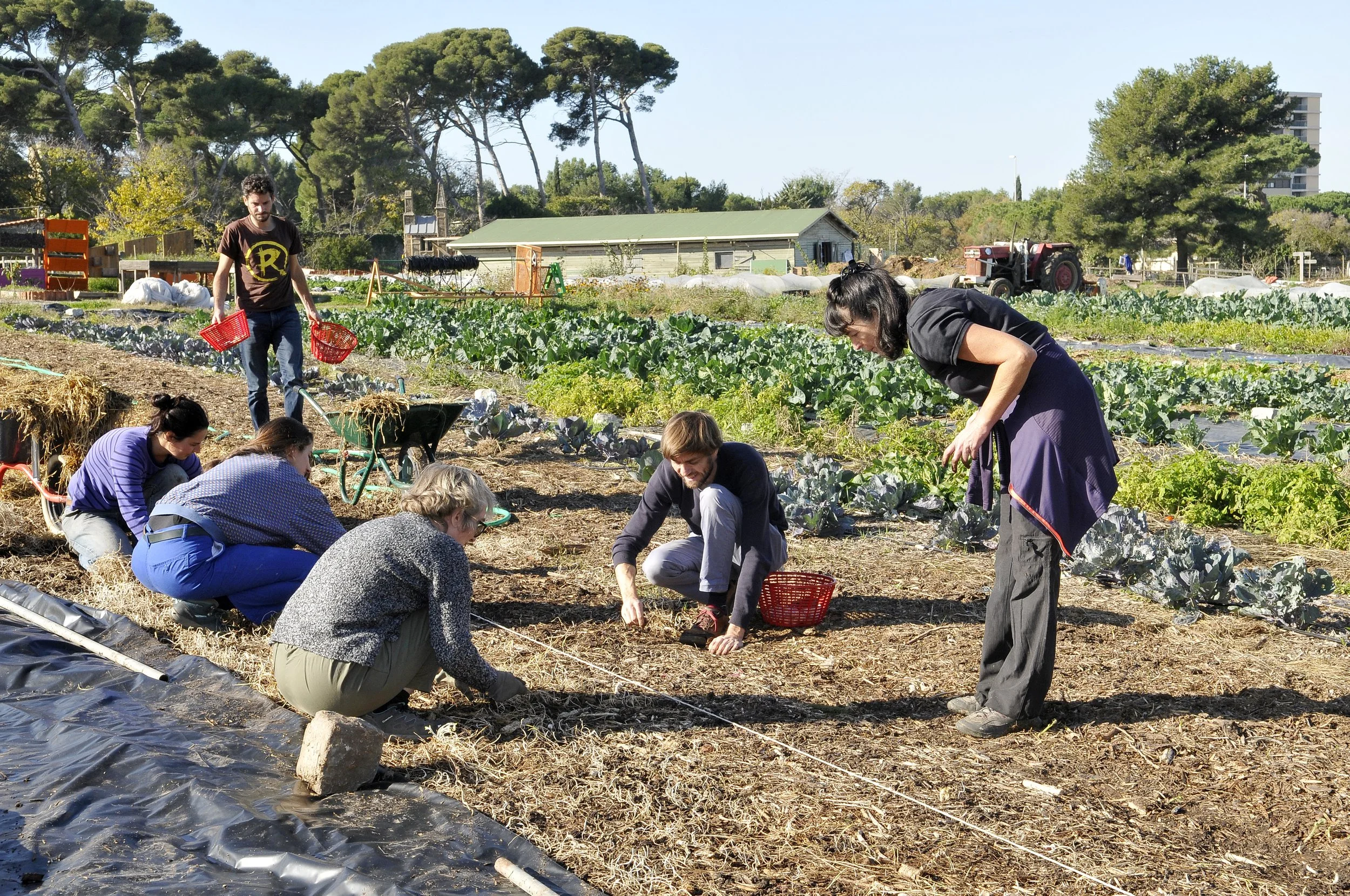 La ferme — Ferme du Roy d'Espagne