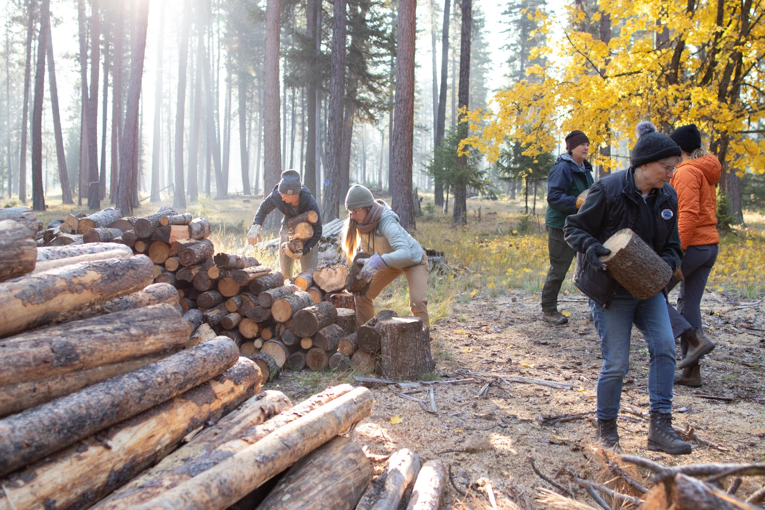 Mission & Vision — Swan Valley Connections