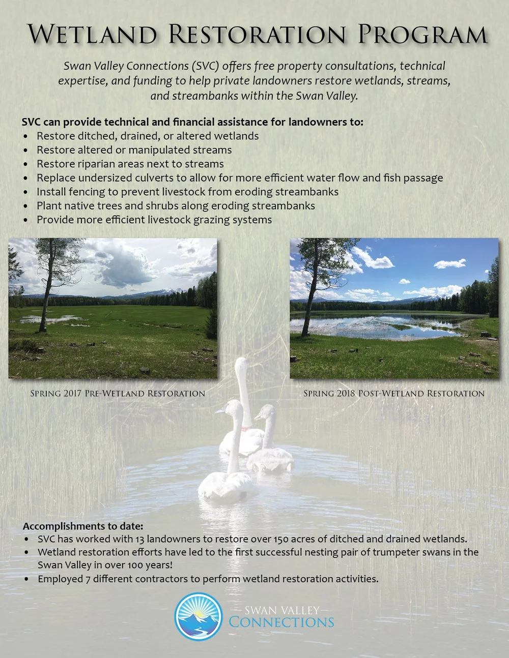Wetland Restoration — Swan Valley Connections
