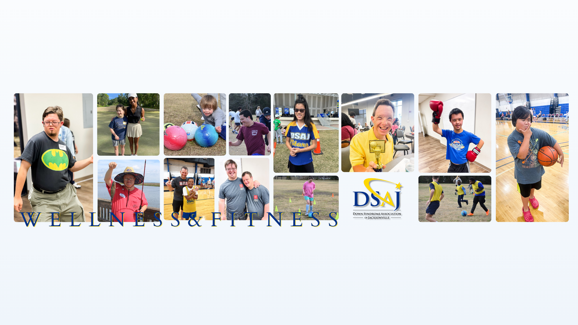 Wellness & Fitness — DSAJ