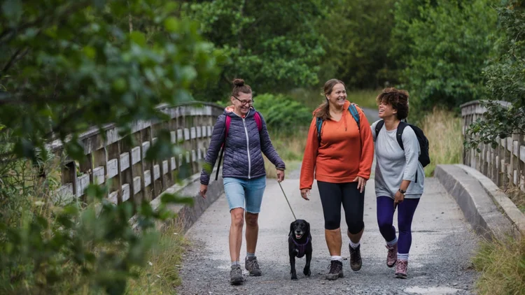 Get Started | Start Walking Today! Improve Your Health — Get Ireland ...