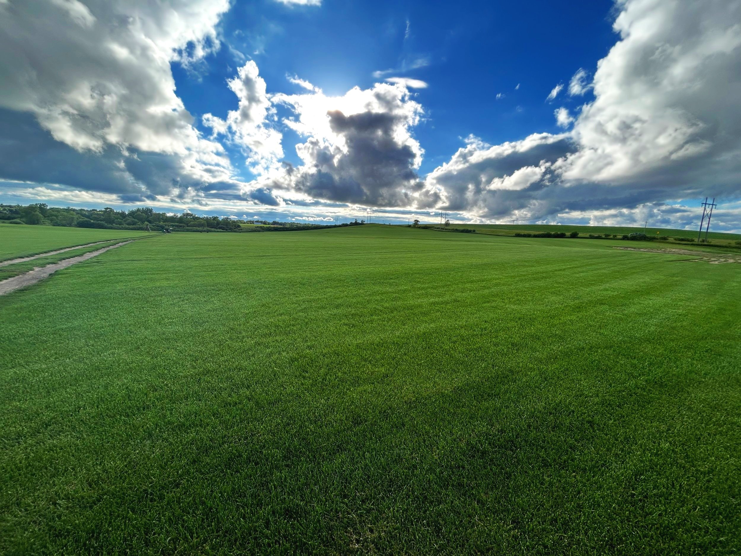 Premium Midwest Sod — North Central Sod