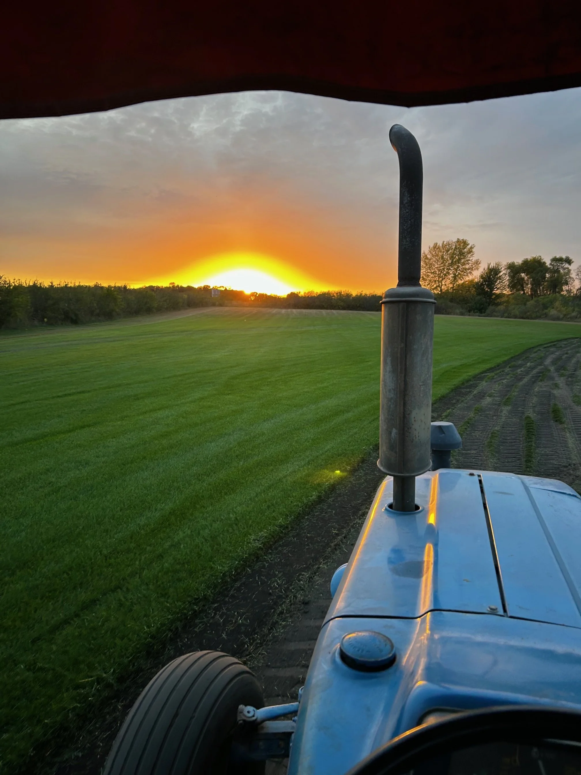 Premium Midwest Sod — North Central Sod