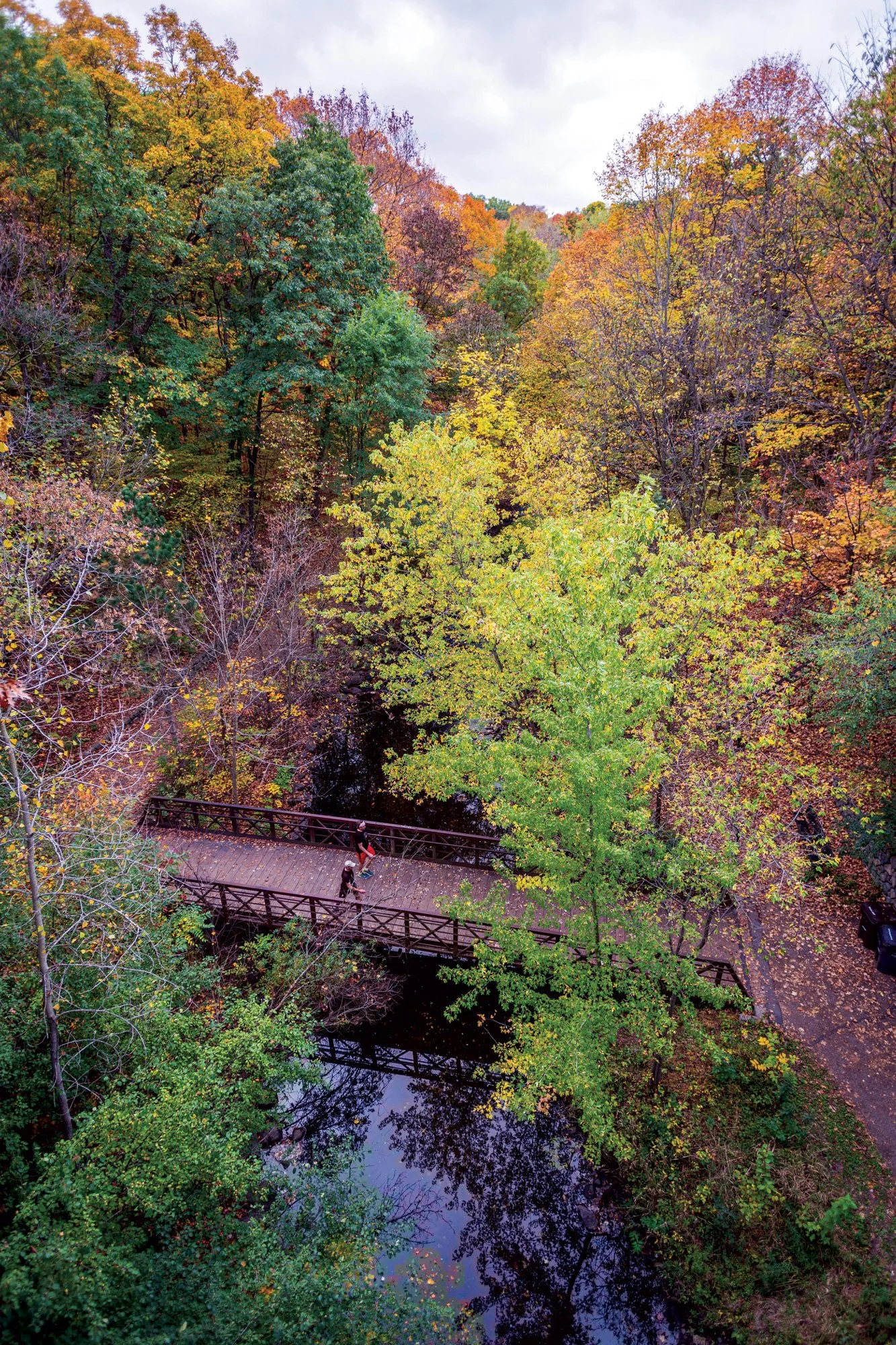 Nine Mile Creek Corridor — Bloomington Forward