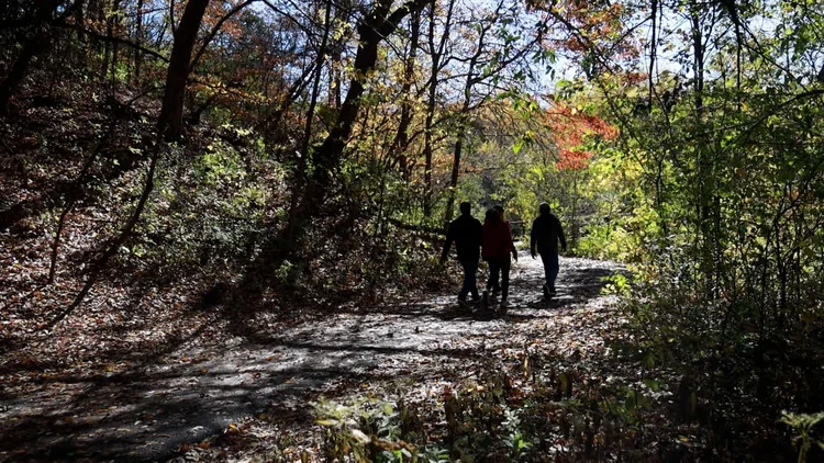 Nine Mile Creek Corridor — Bloomington Forward