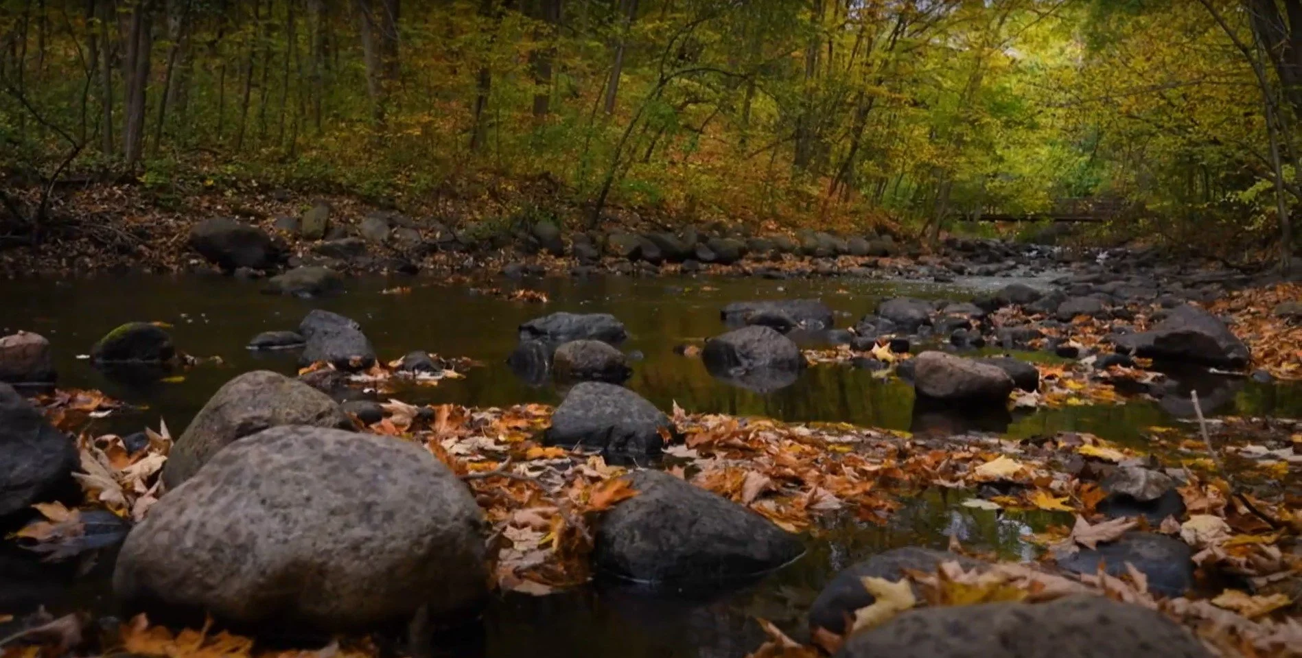 Nine Mile Creek Corridor — Bloomington Forward