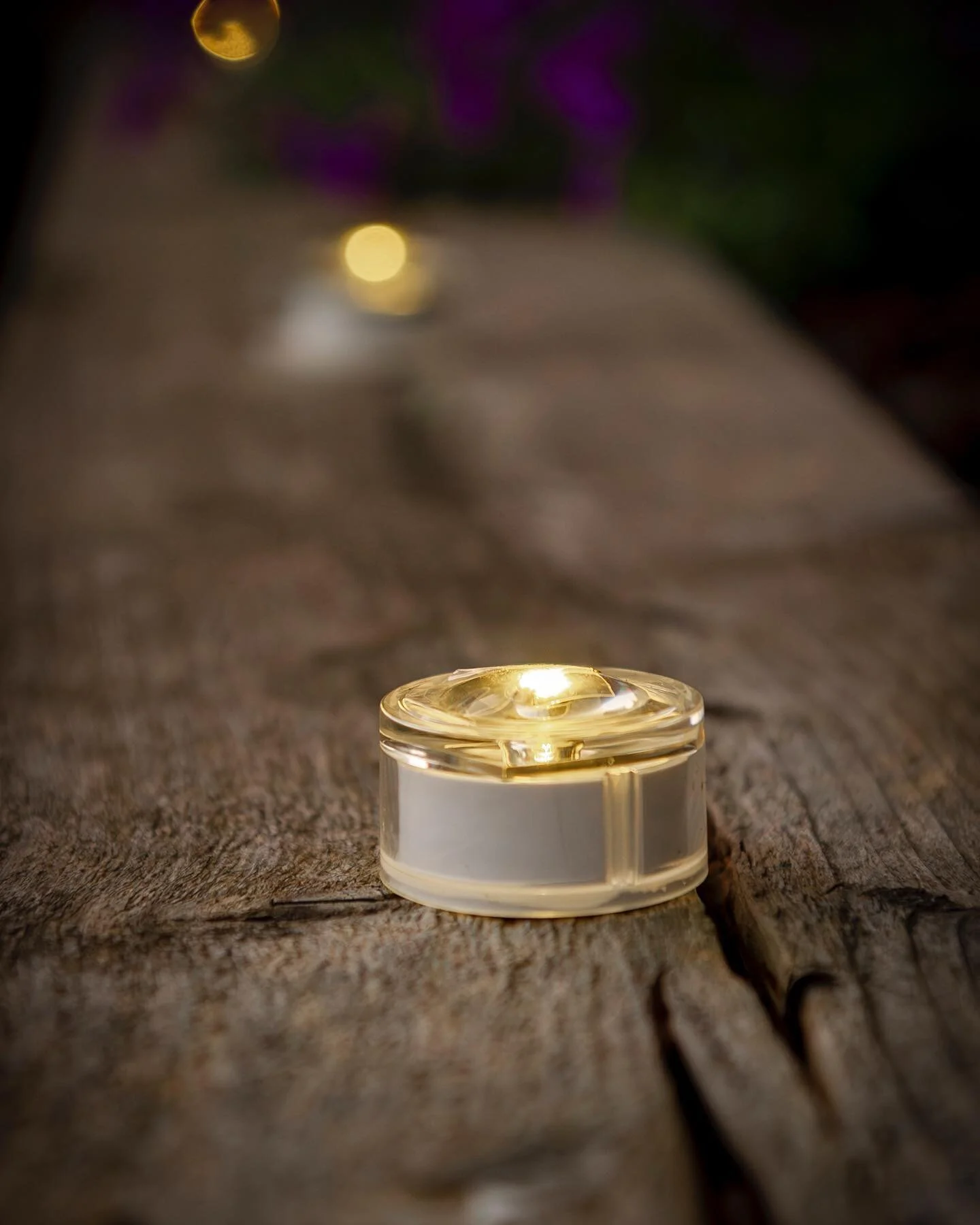 Purple Daffodil solar tea lights