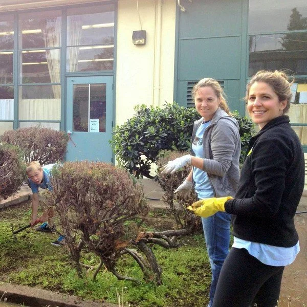 Project Peace | Community Partners