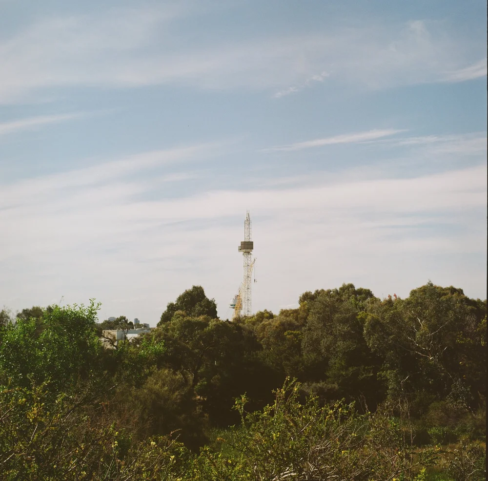 Best Mate Park — Cruising The Bush