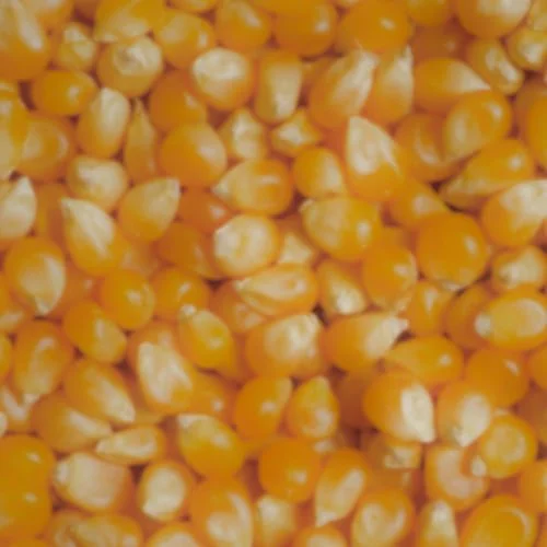 Majestic Milling Company