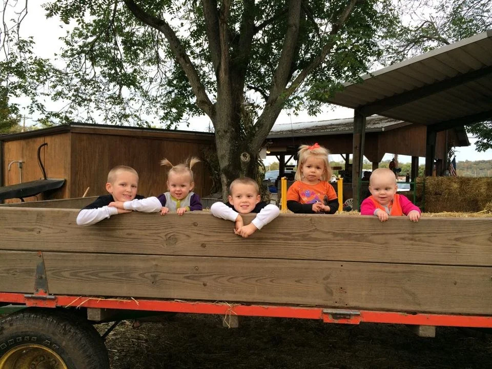 Field trip groups--Fall Farm Fun (Sunflowers, hayrides, corn mazes ...