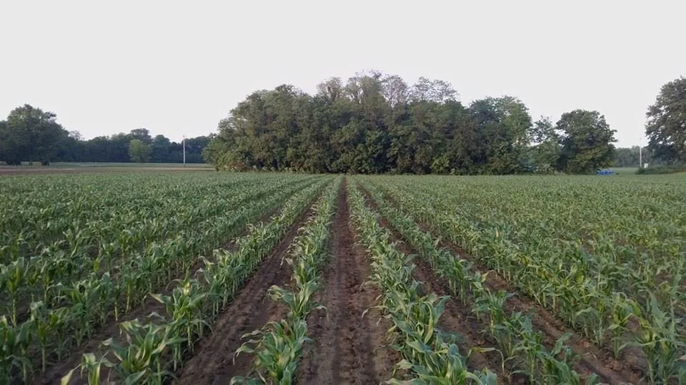 General 2 — Burwinkel Farms
