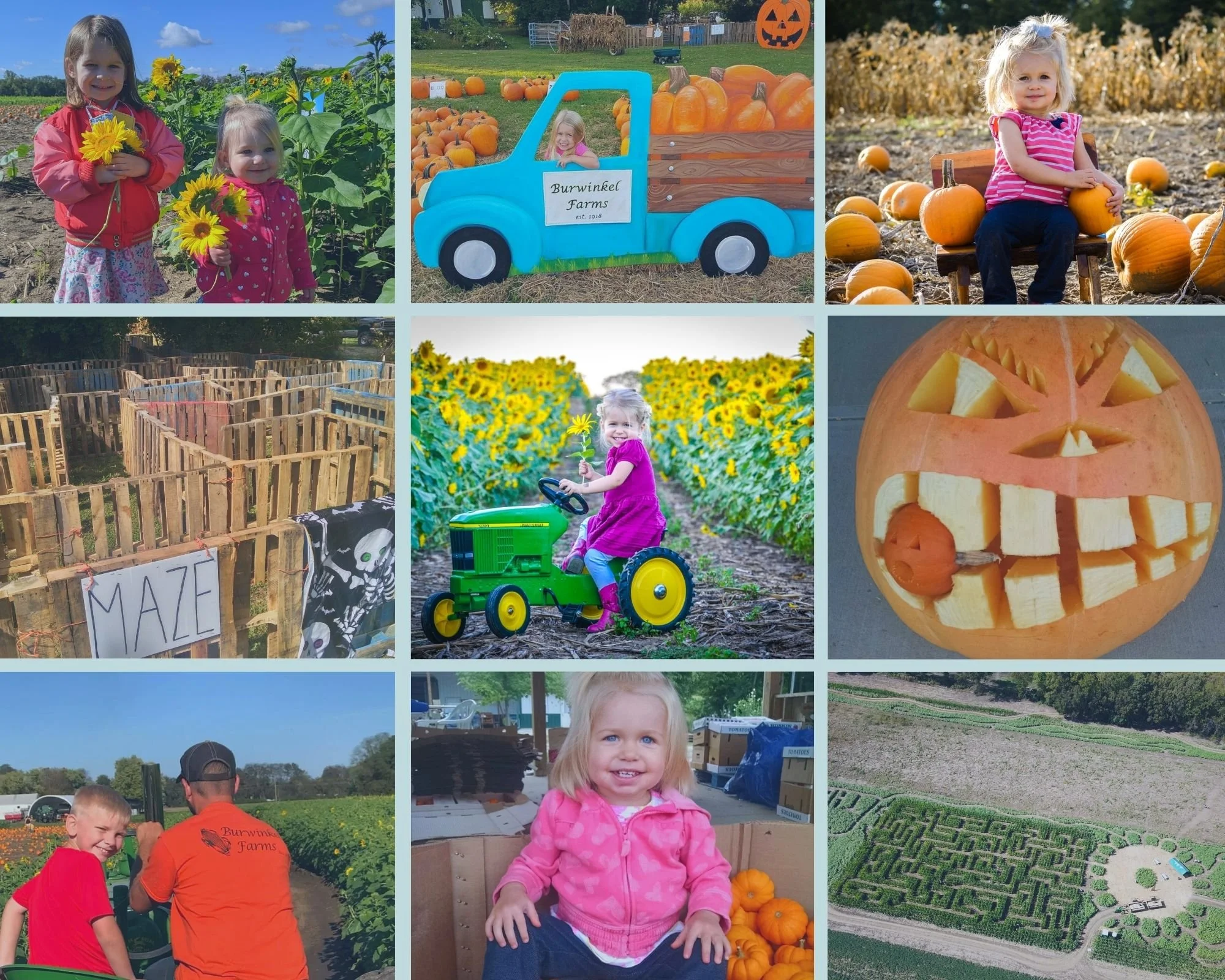 Fall Farm Fun (Sunflower fields, hayrides, corn mazes, pumpkin patch ...