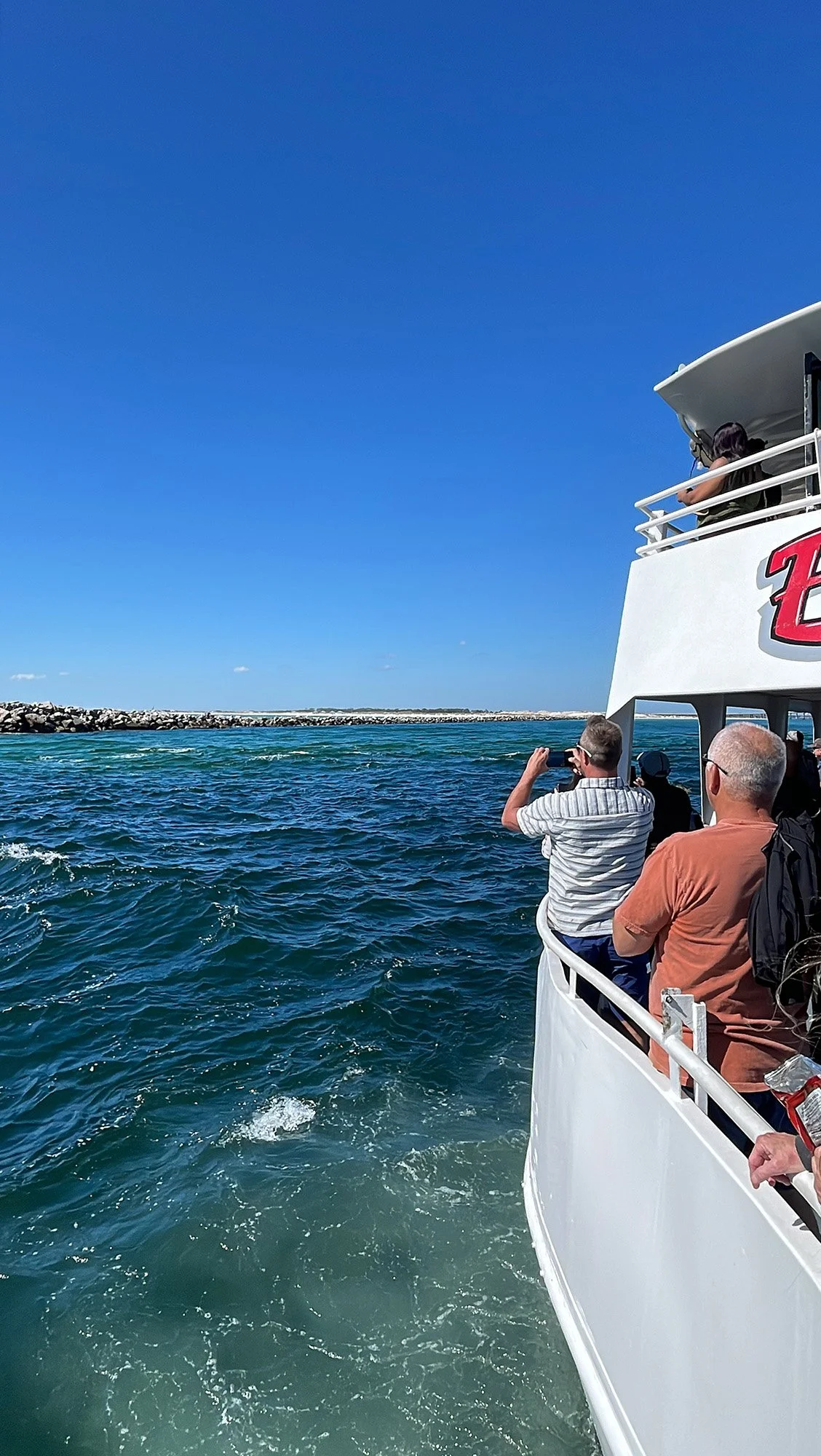 Daytime Dolphin Cruise - Destin | Best in Destin — Boogies Watersports