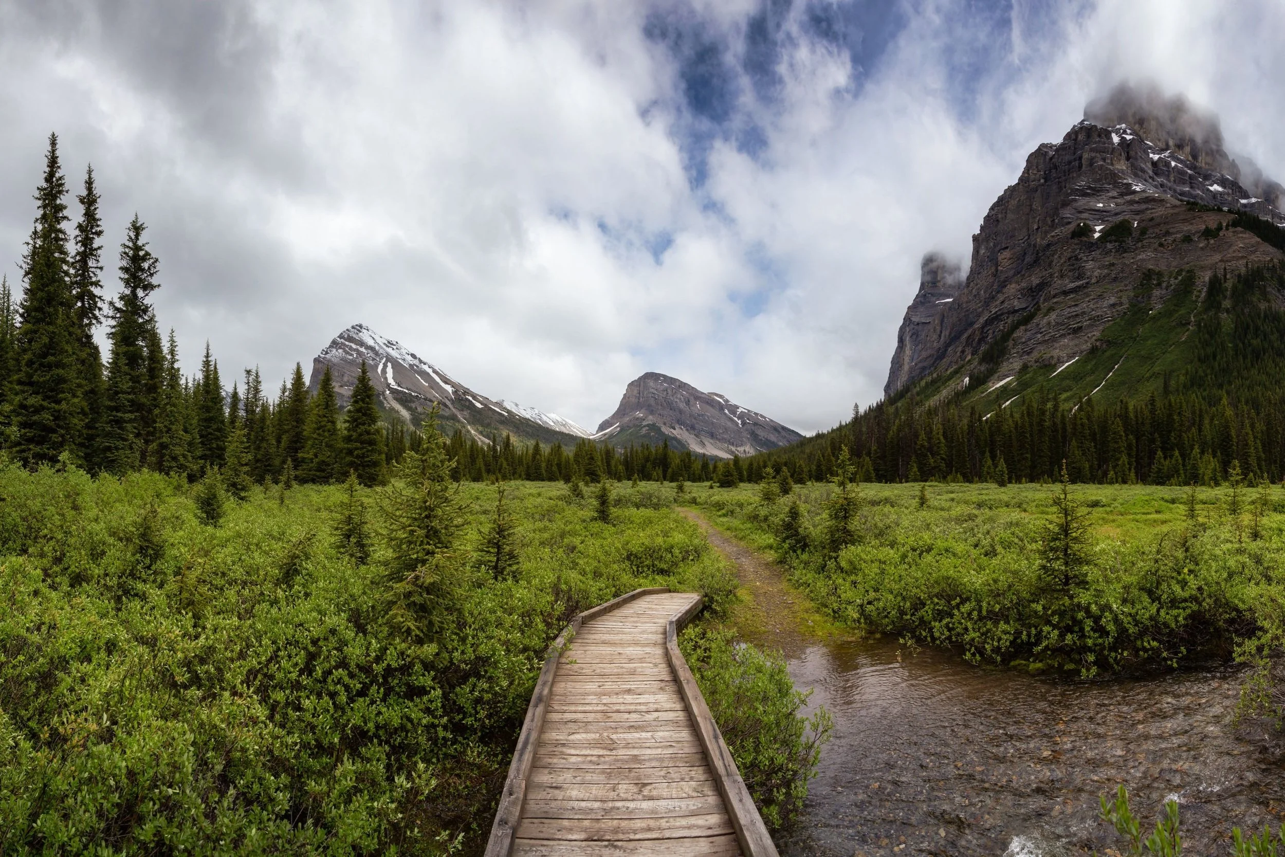 Catapult Environmental