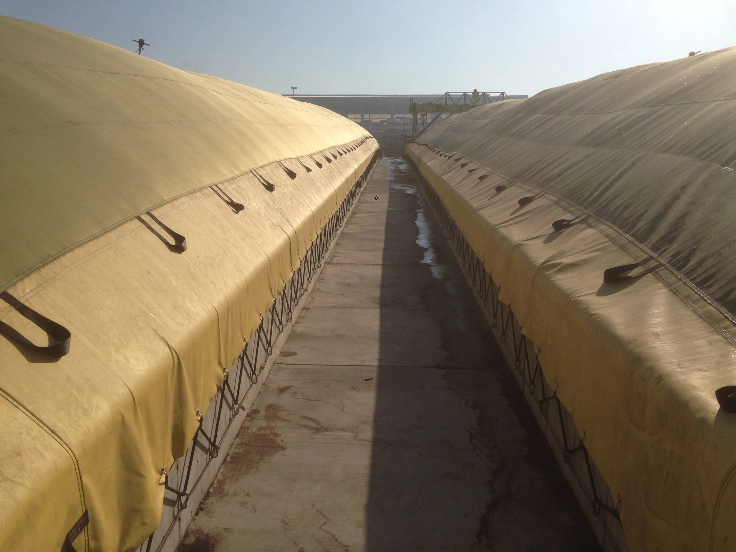 Aldersyde — Catapult Environmental