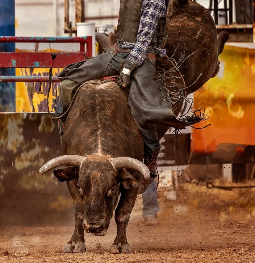 Ballarat Rodeo at Kryal Castle