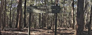 Wombat State Forest: hiking, camping, fishing, off-roading