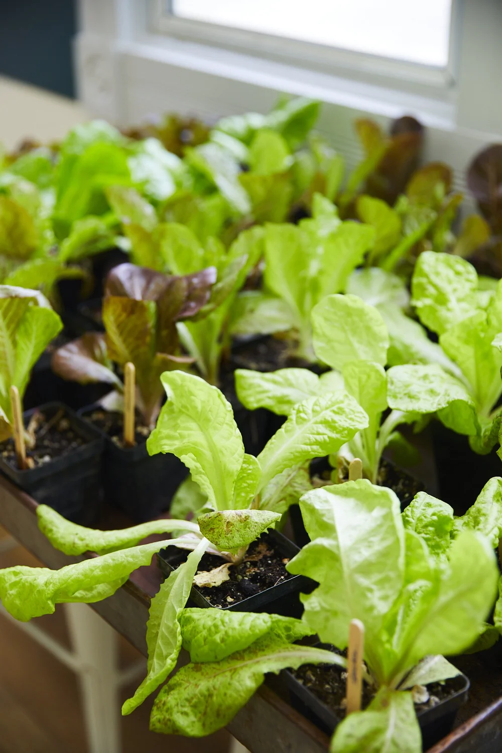 Events — Tenfold Farmstand