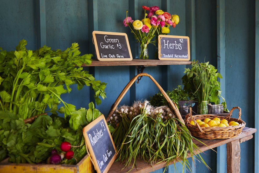 Gallery — Tenfold Farmstand