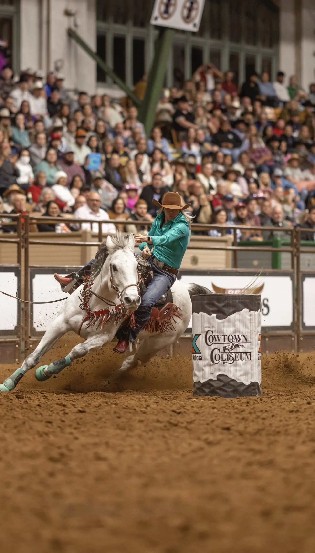 Lauren Riley — Wild Eye Ranch