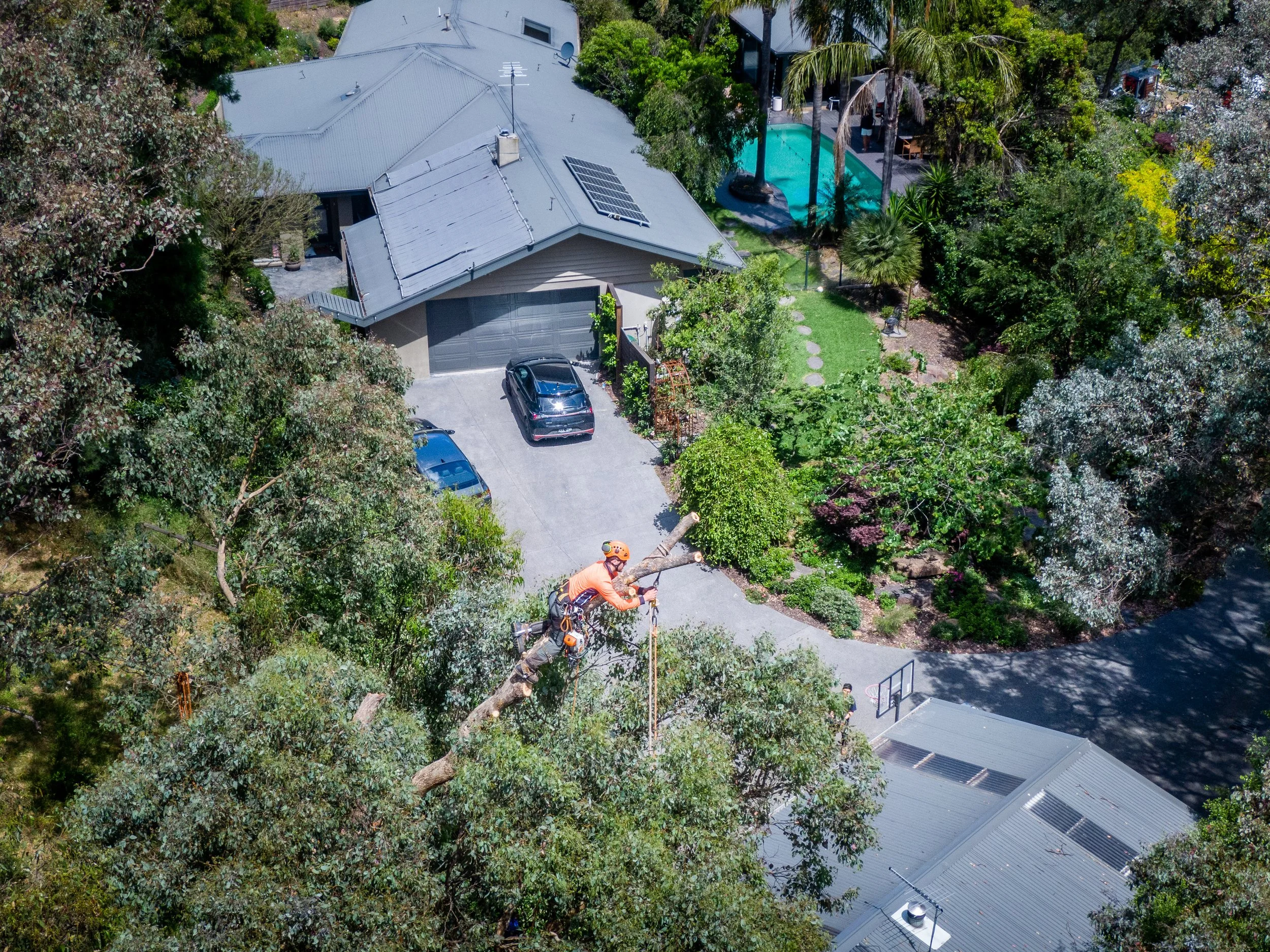 Action Tree Specialists