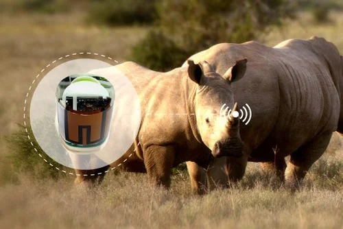 Wildlife Animal Tracker - GPS Tracker for Monitoring and Protecting ...