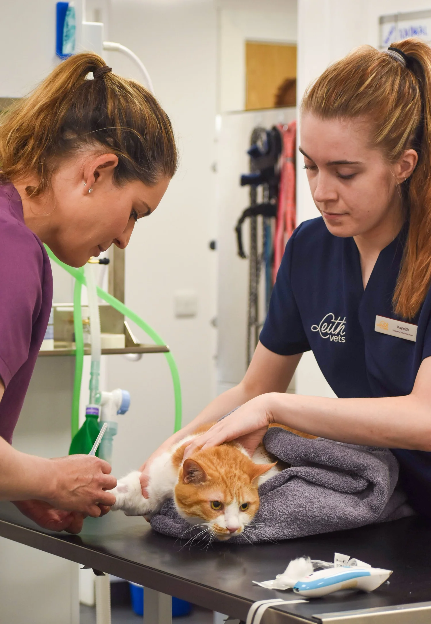 Vets - Leith - Meet Our Team — Leith Vets