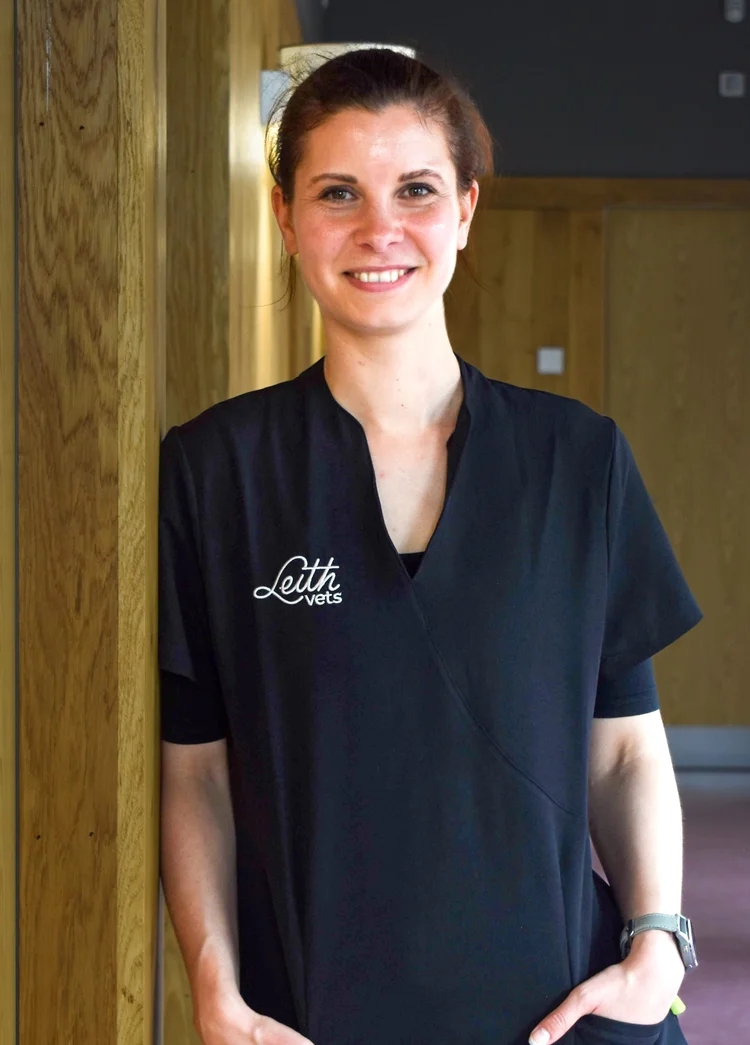 Vets - Leith - Meet Our Team — Leith Vets