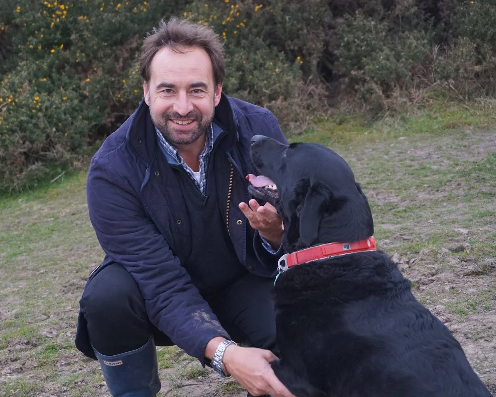 About — JASON NORTH PROPERTY CONSULTANTS