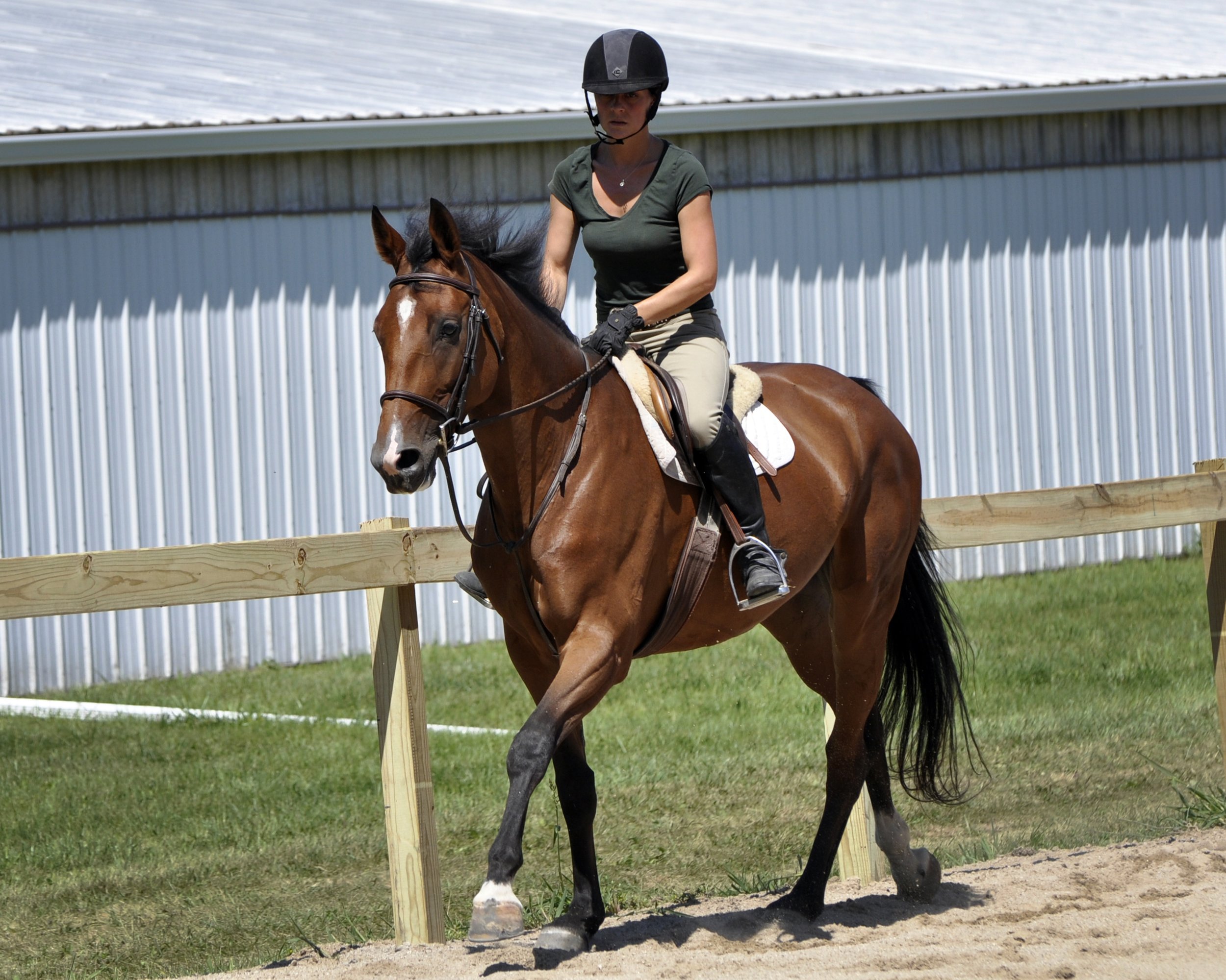 Dunham Woods Farm | Lesson Program — Dunham Woods Farm | Elgin, IL