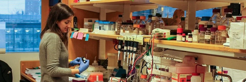 Lab Culture — Kirschner Lab