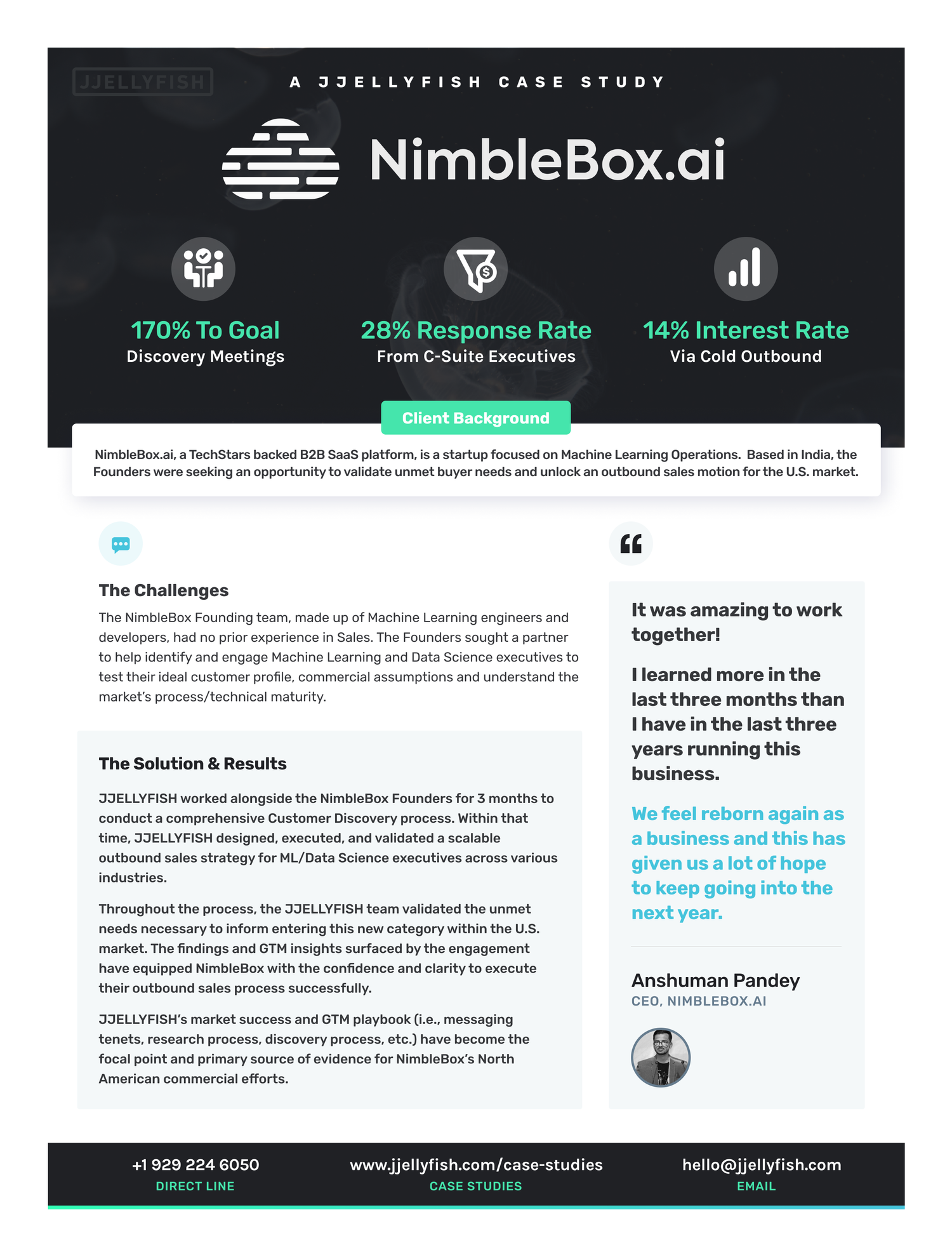 NimbleBox.ai — JJELLYFISH