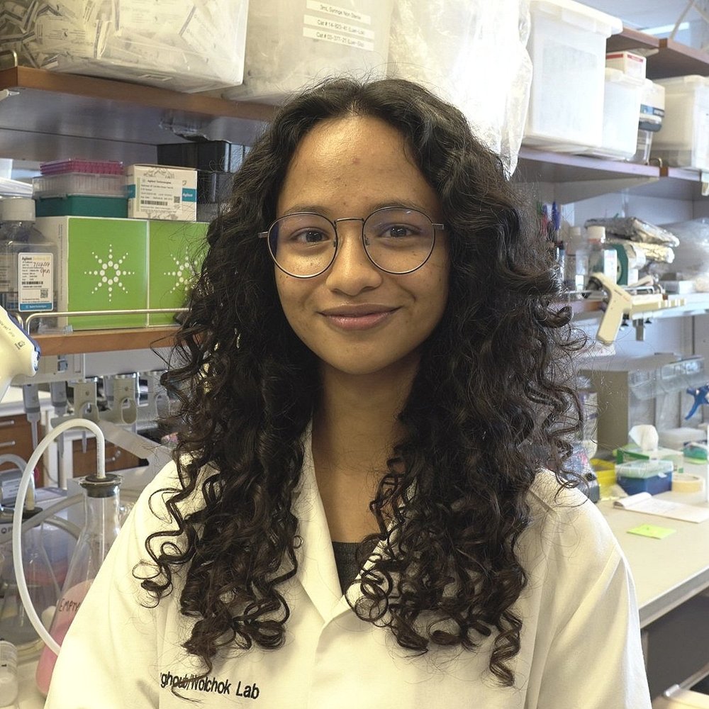 Members — Merghoub Wolchok Lab