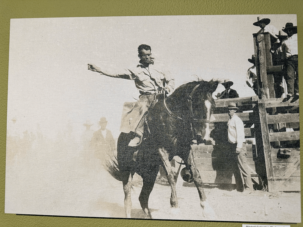 Store — A.R. Mitchell Museum of Western Art