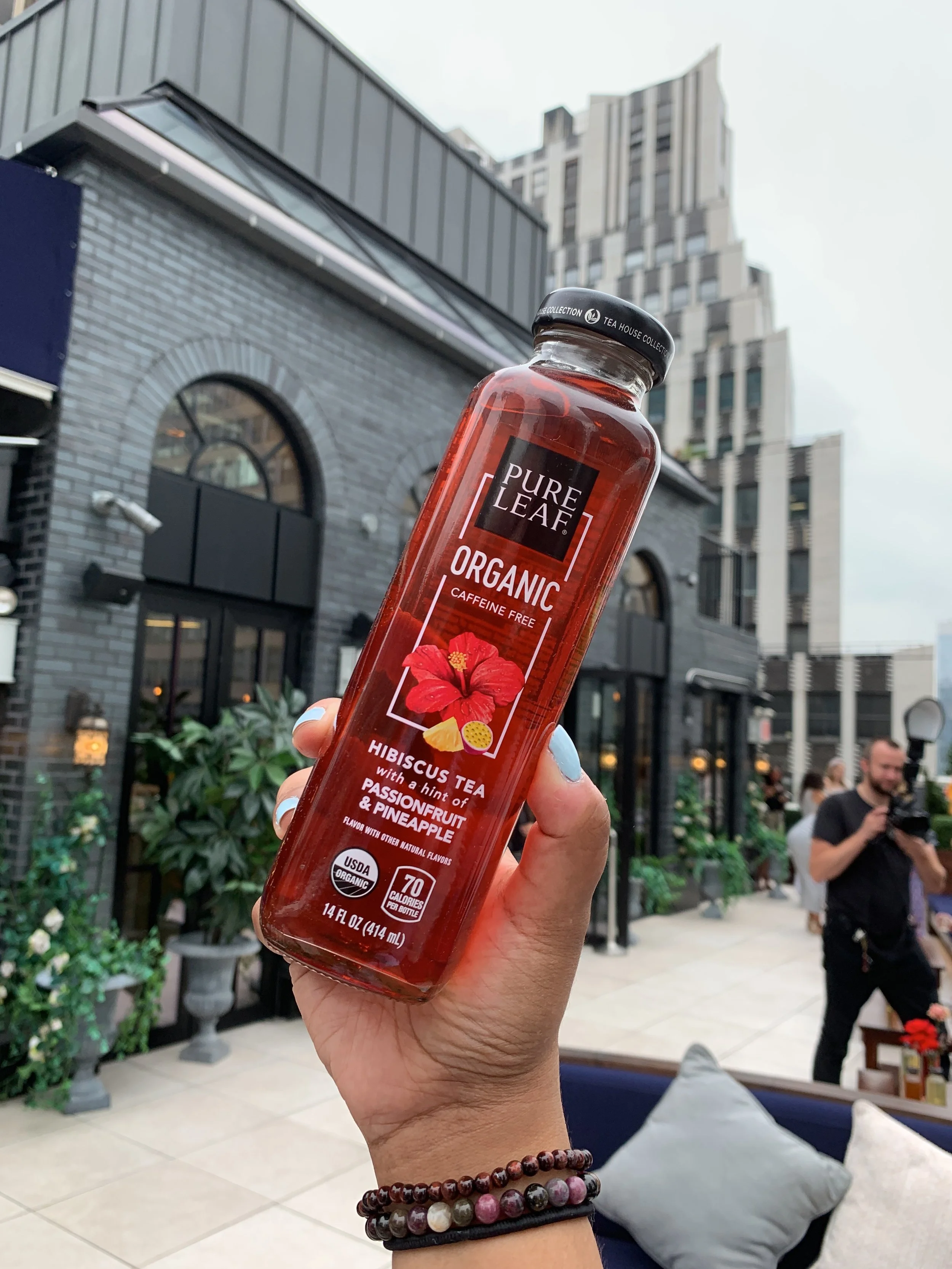 Pure Leaf Brand Identity Relaunch — Interactive Roots