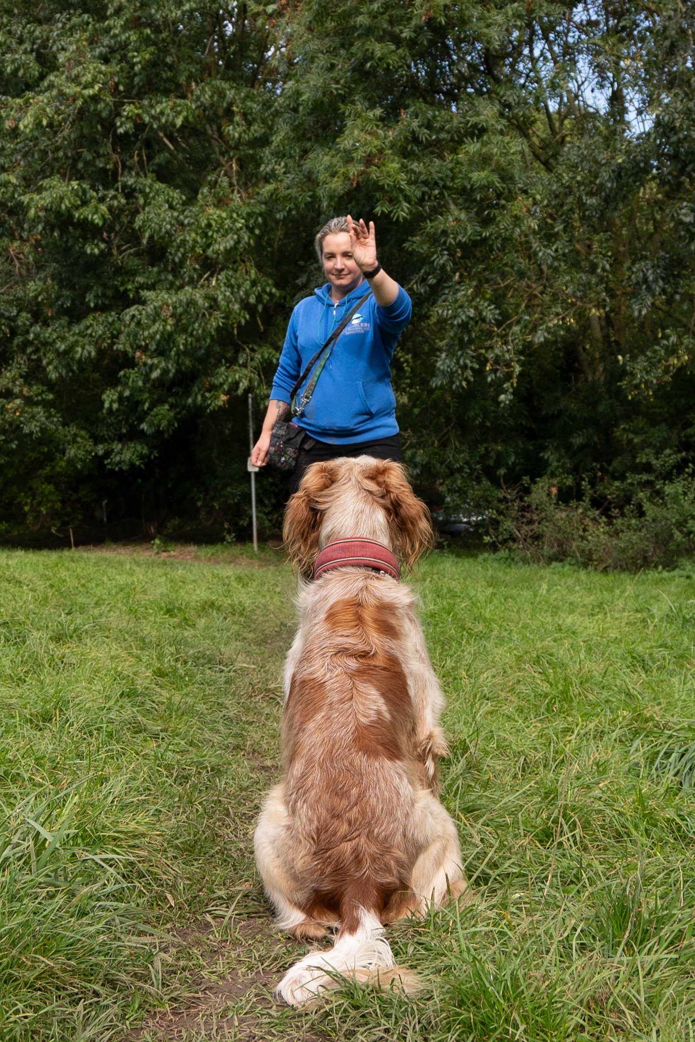 Services — Boundless Dog Training and Behaviour