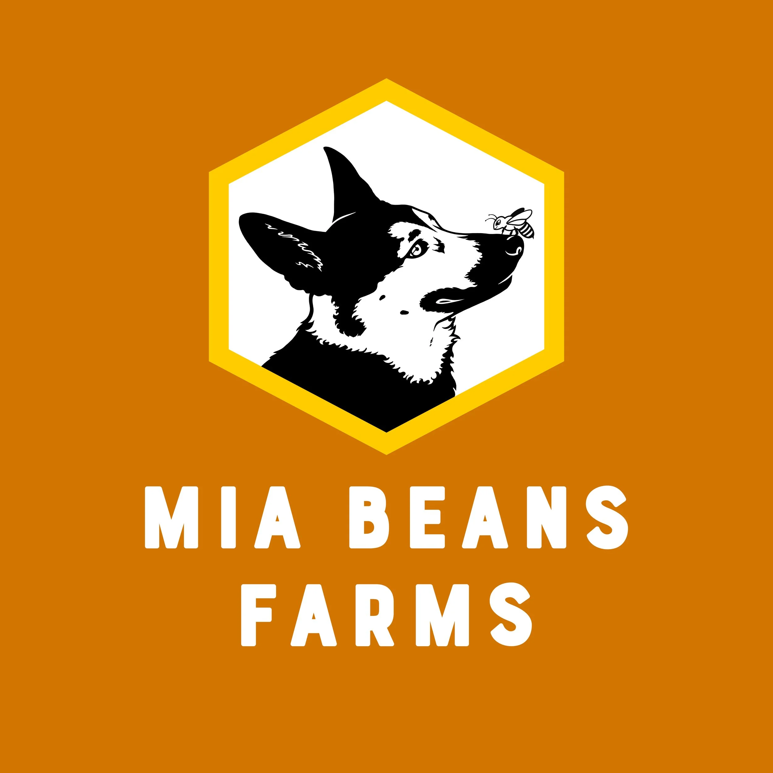 Art Archive: Mia Beans Farms — Chromabi
