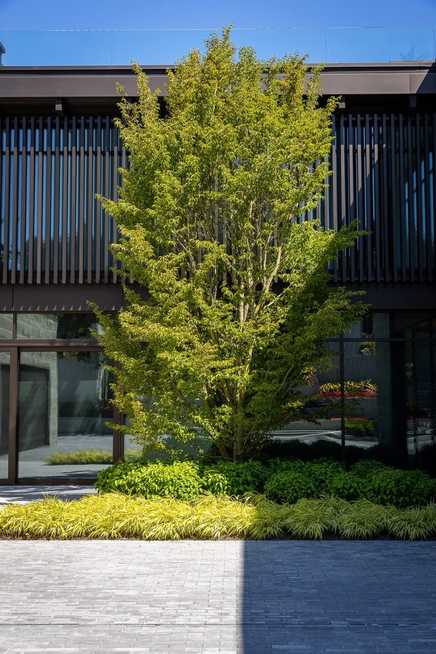 Portfolio — Keystone Projects