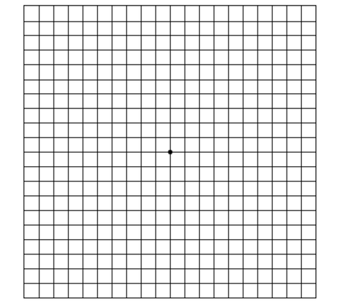 Amsler Grid: A Quick Test For Macular Degeneration and Other Vision ...