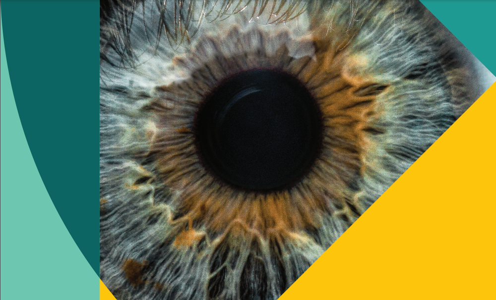 Prokera Amniotic Membrane | Explore Eye Healing Solutions — Sunshine ...