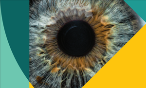 Prokera Amniotic Membrane | Explore Eye Healing Solutions — Sunshine ...