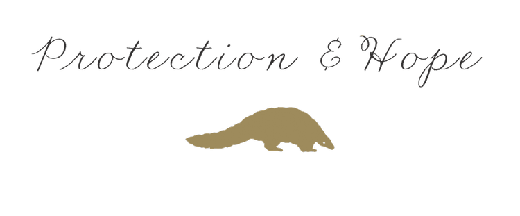 The Pangolin Collection — African Safari Conservation