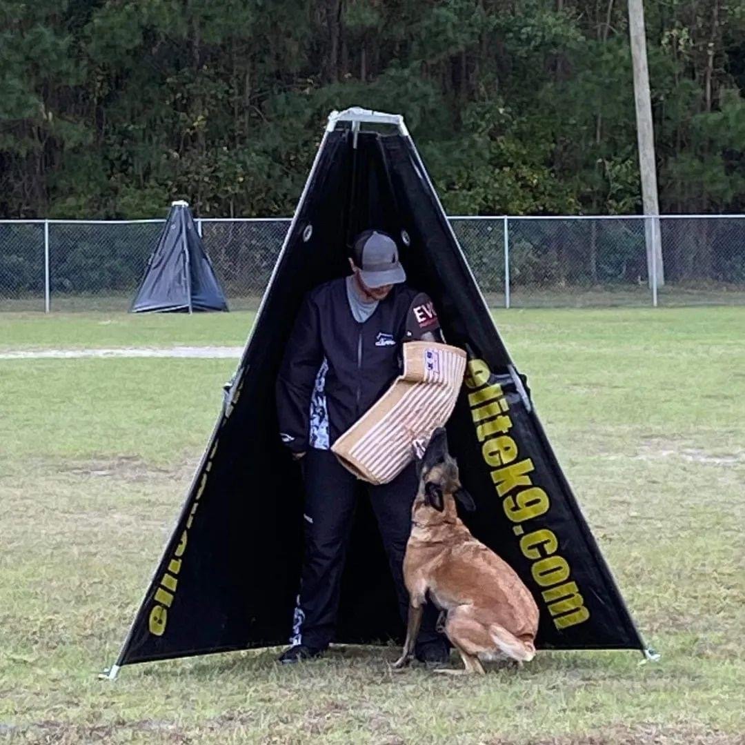 Schutzhund/IGP — Charleston Working Dog Club